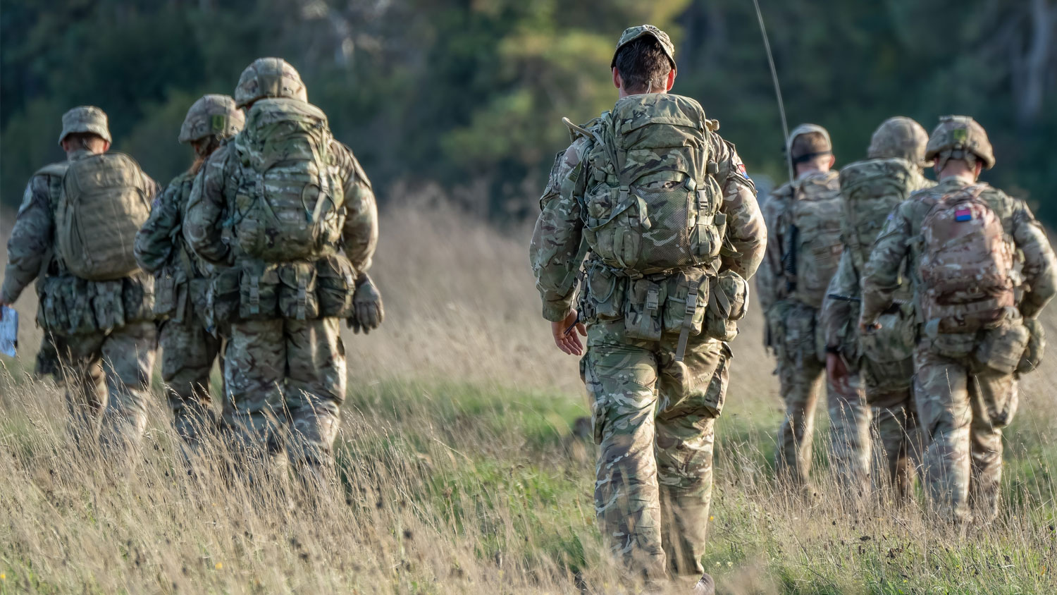 Who We Are - Boss Training